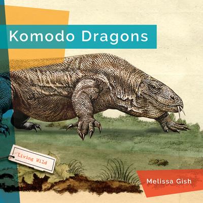 Komodo Dragons－金石堂